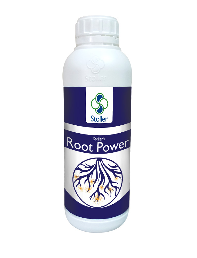 STOLLER’S ROOT POWER – STOLLER TÜRKİYE