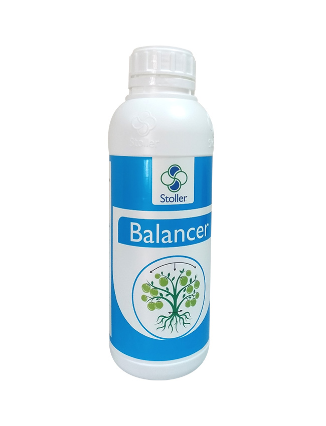 BALANCER – STOLLER TÜRKİYE